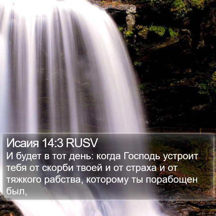Исаия 14:3 RUSV - И будет в тот день: когда