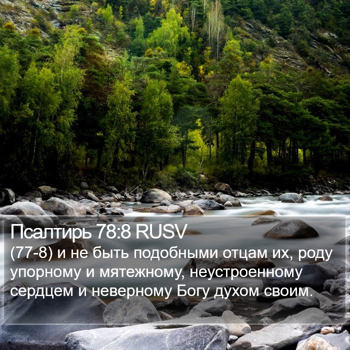 Псалтирь 78:8 RUSV - (77-8) и не быть подобными