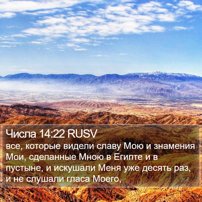 Числа 14:22 RUSV - все, которые видели славу