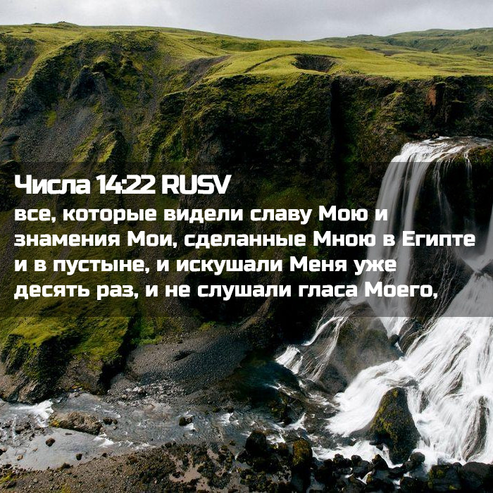 Числа 14:22 RUSV - все, которые видели славу